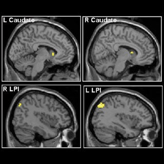 Searching for God in the Brain - Scientific American