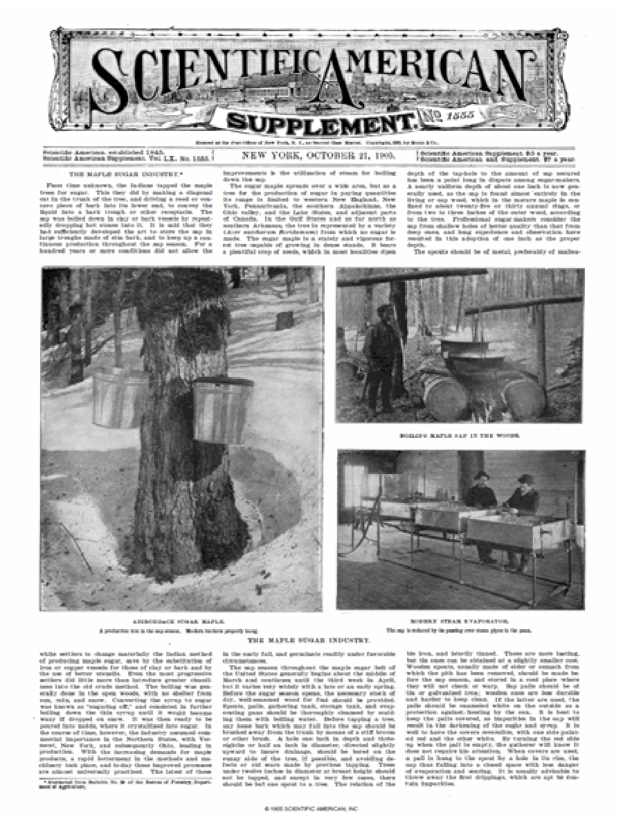 Issue Archive - 1905 | Scientific American