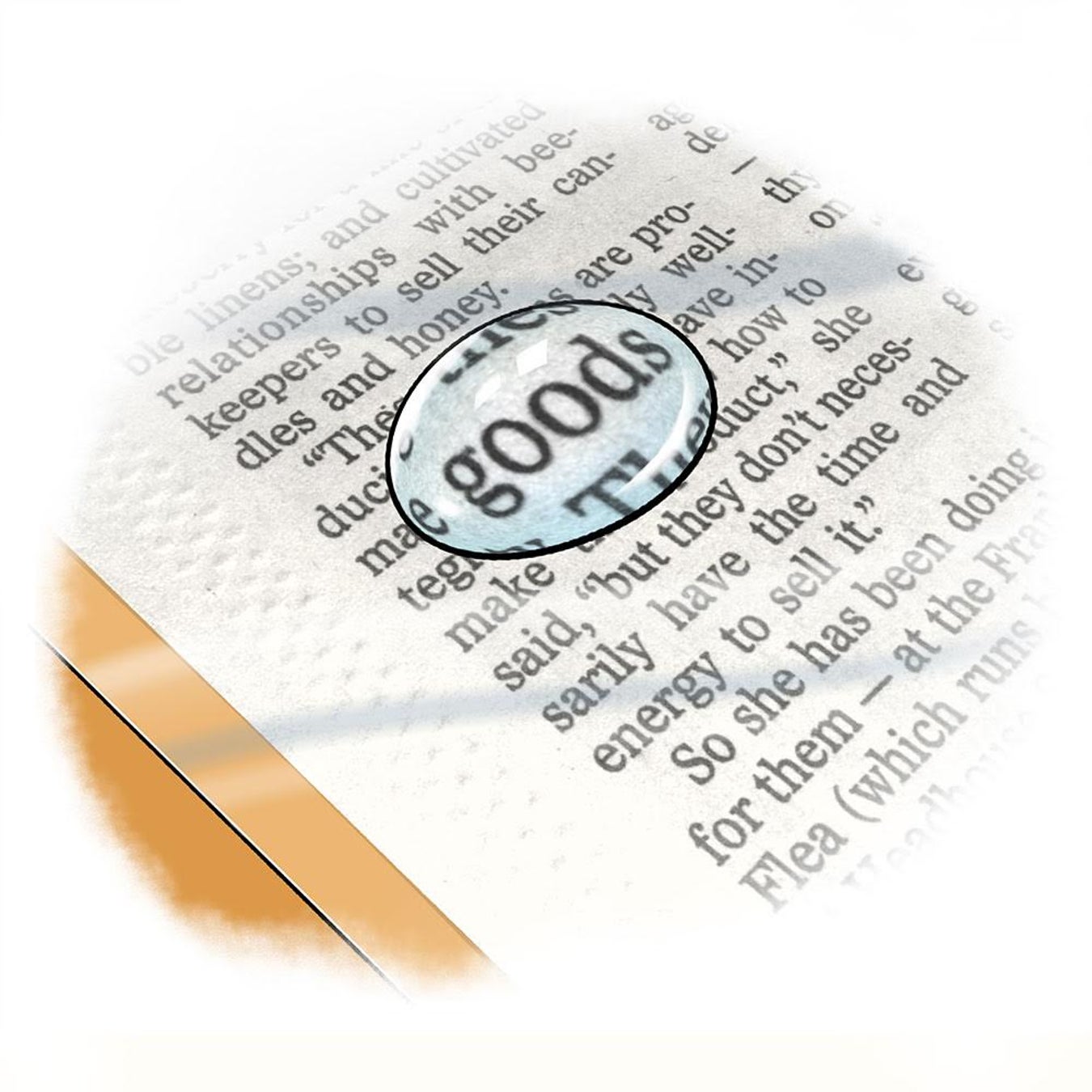 The Magnifying Effect of a Water Drop | Scientific American