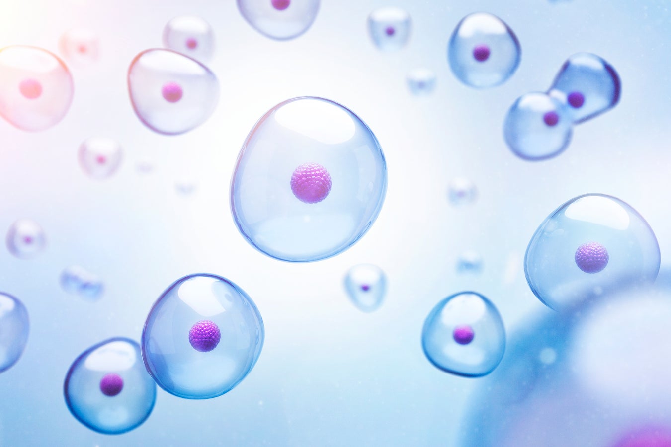 Small Collections of Cells Determine How a Body Takes Its Shape ...