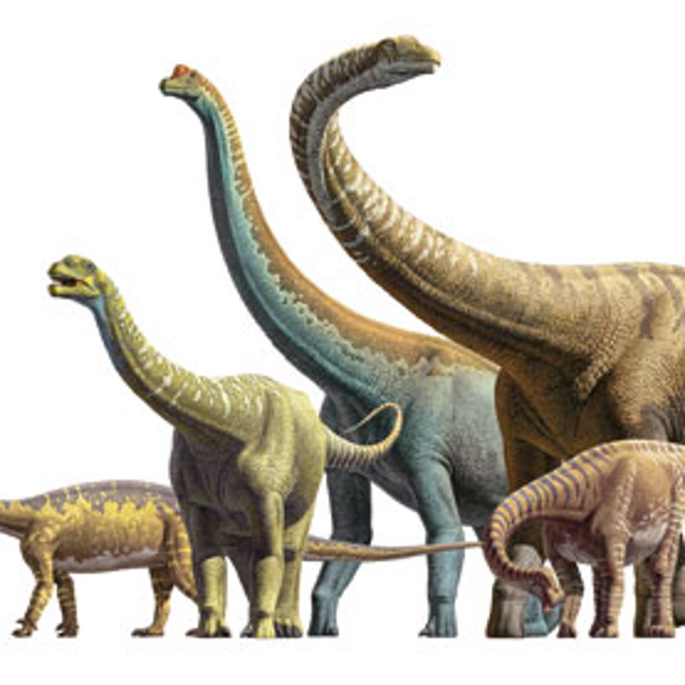 Triumph of the Titans: How Sauropods Flourished | Scientific American