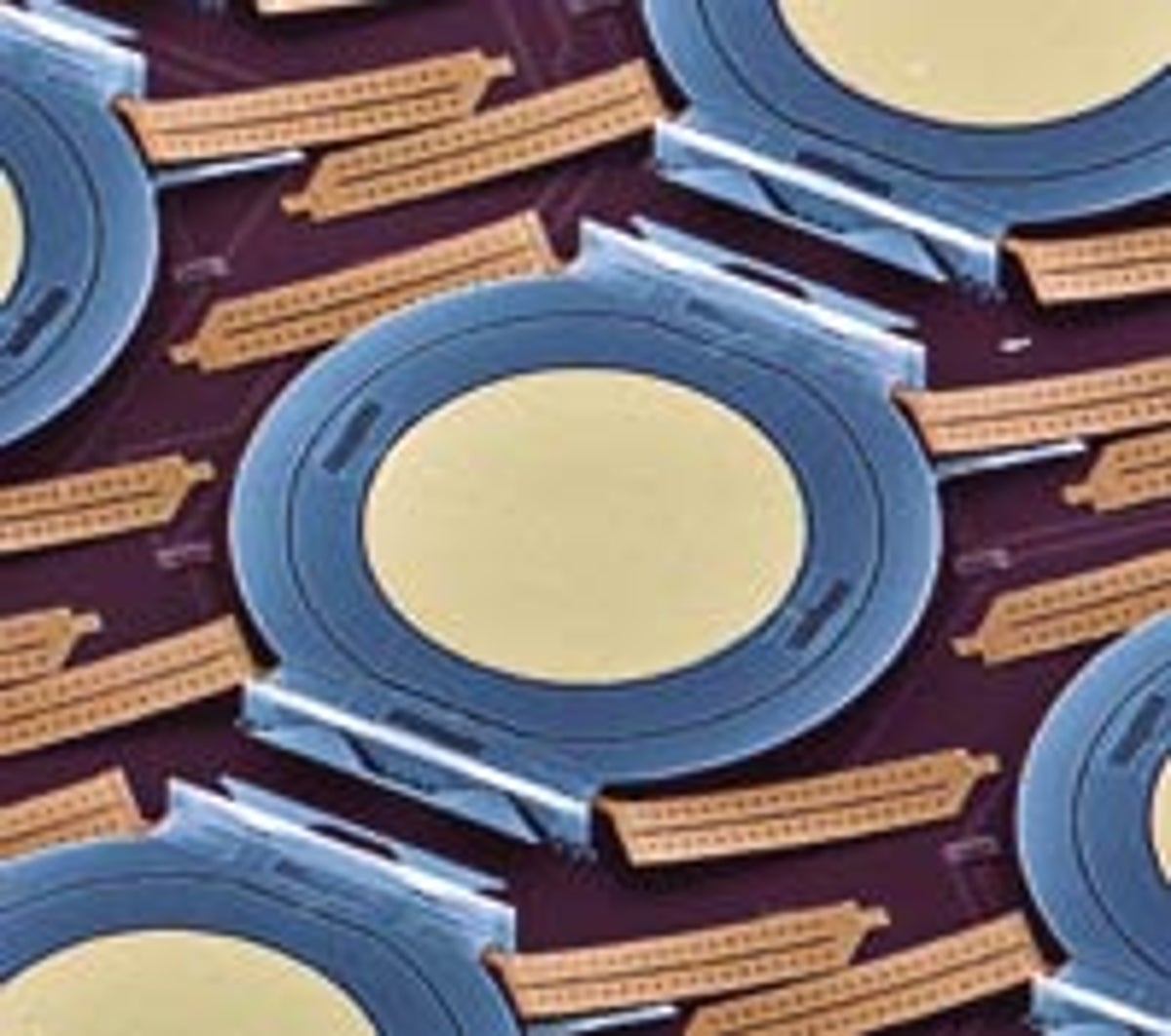 The Relentless Storm | Scientific American