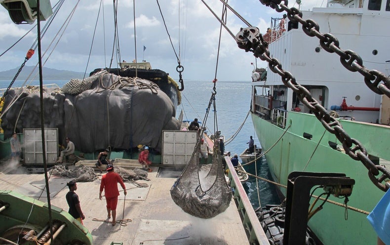 Science Closes In on Big-Scale Fish Poachers in the "Wild Wet ...