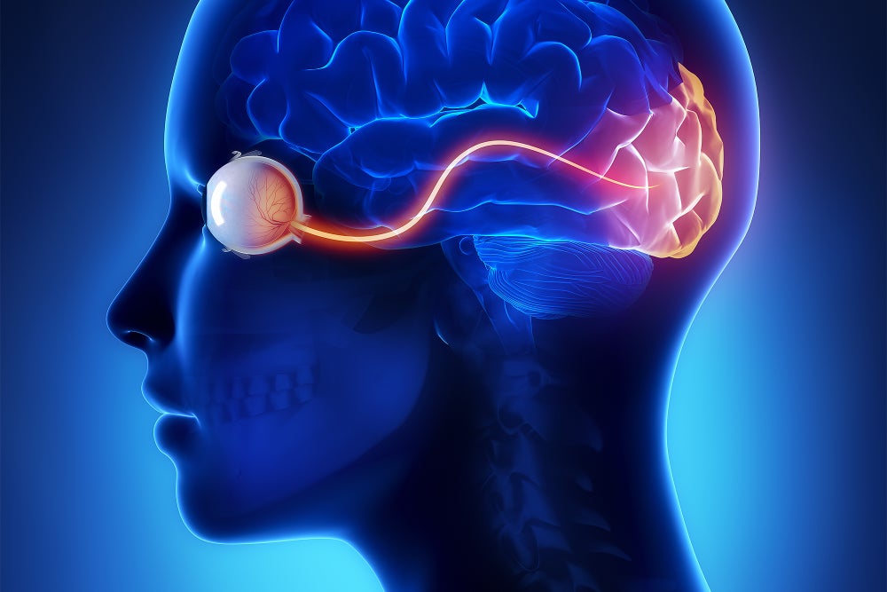 Why Do We Dream? Maybe to Ensure We Can Literally 'See' the World upon ...