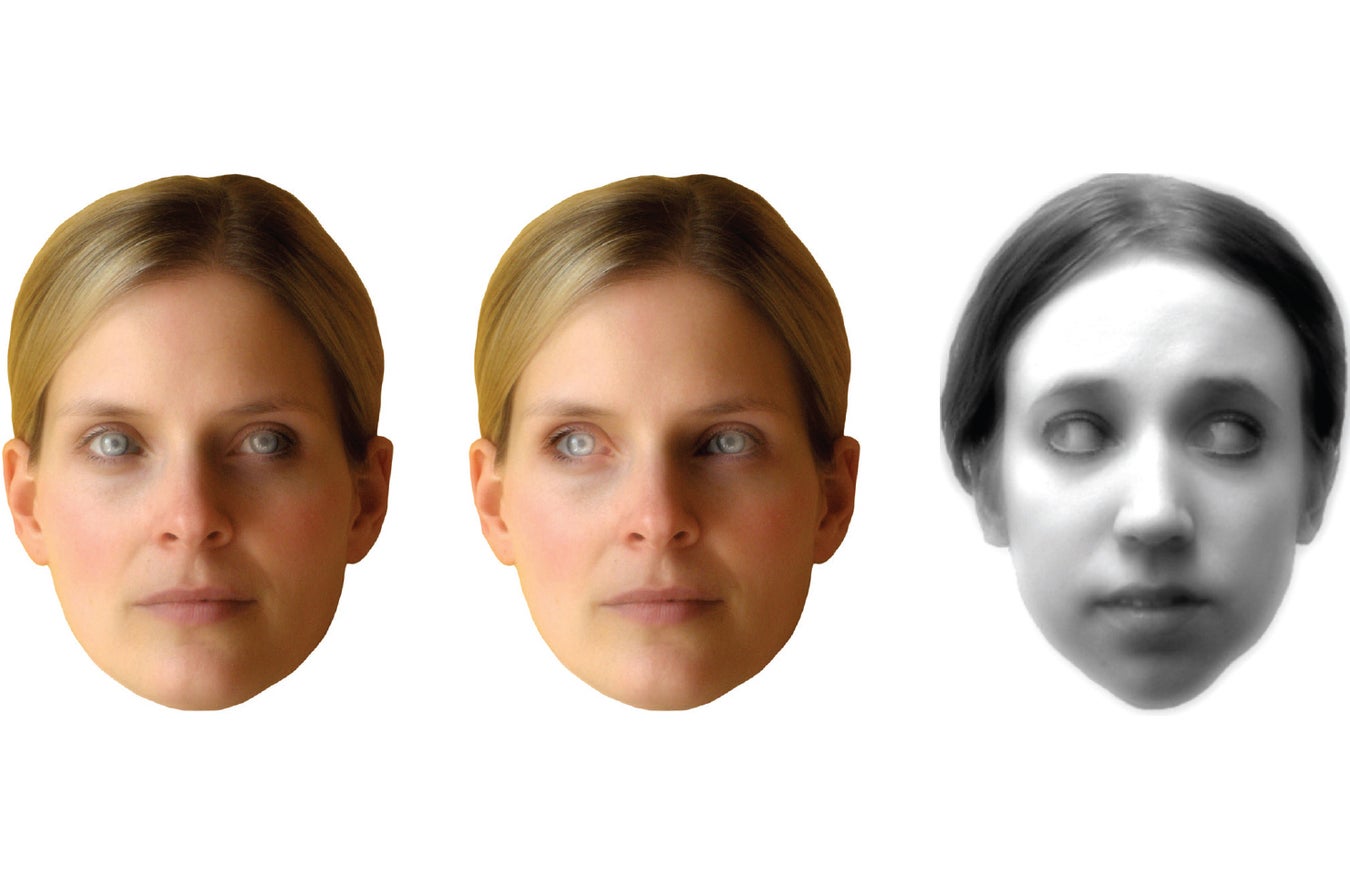Is That Picture Looking at Me? | Scientific American