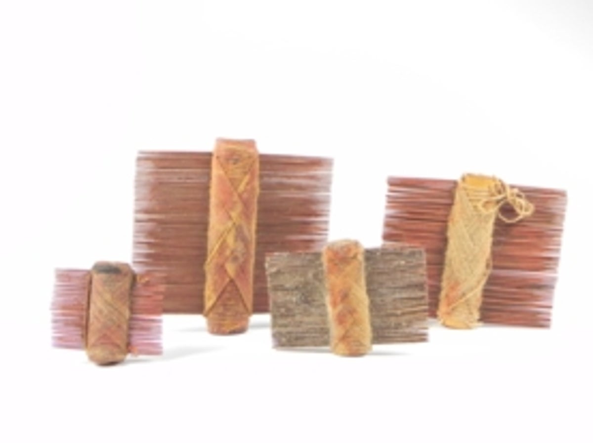 Oldest Lice Combs in the Americas Discovered | Scientific American
