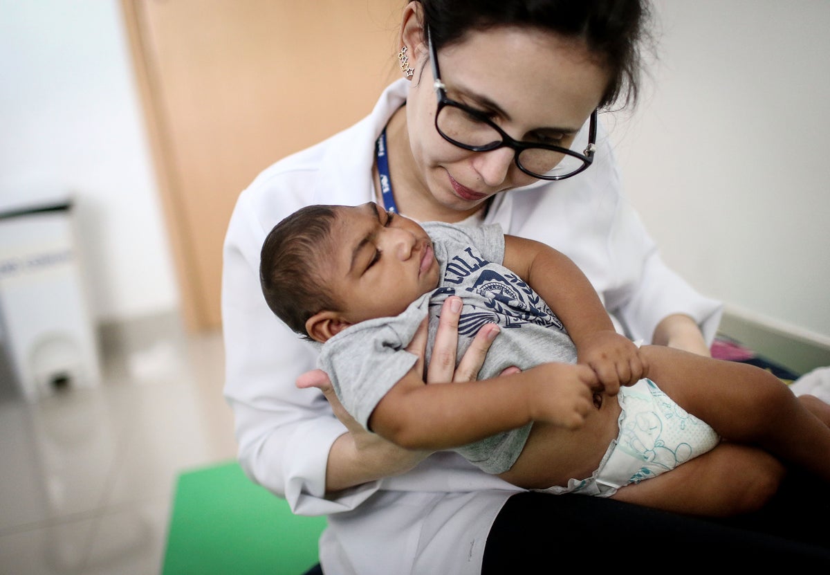 Why Were There Fewer Microcephaly Cases from Zika Last Year ... Why Were There Fewer Microcephaly Cases from Zika Last Year ...