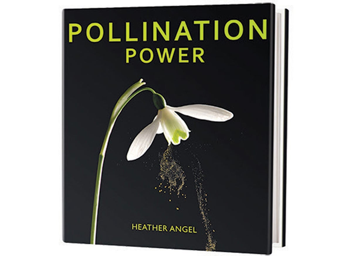 Book Review: Pollination Power | Scientific American