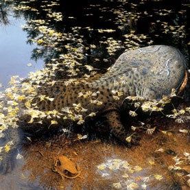 Recommended: The Artist and the Scientists: Bringing Prehistory to Life ...