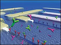 Structured Settings - Scientific American