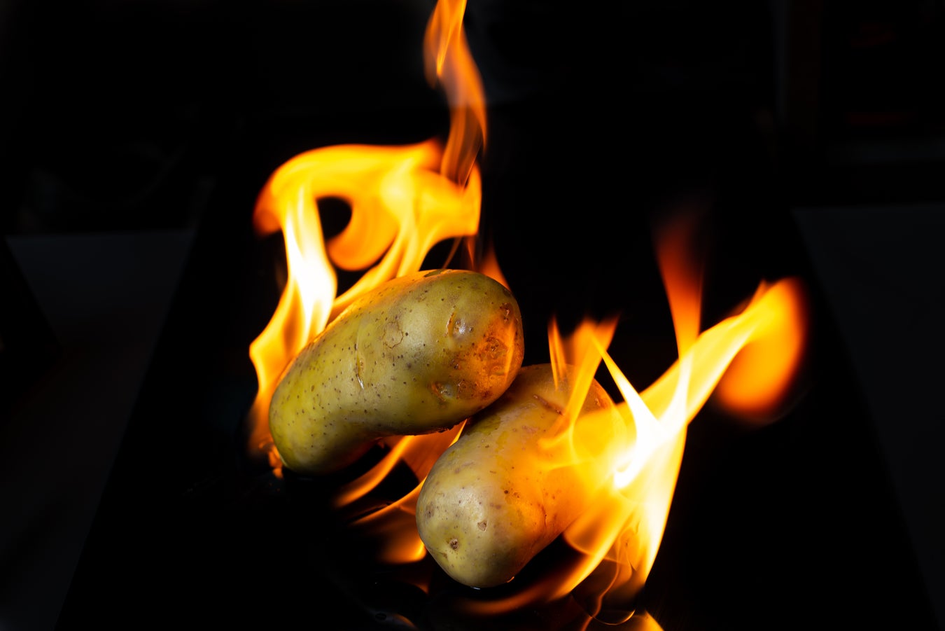 Scientists Find Early Evidence of Humans Cooking Starches | Scientific ...