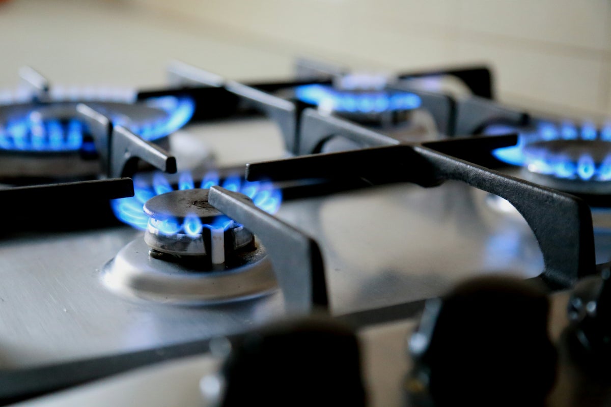Cities Look to Natural Gas Bans to Curb Carbon Emissions | Scientific ...