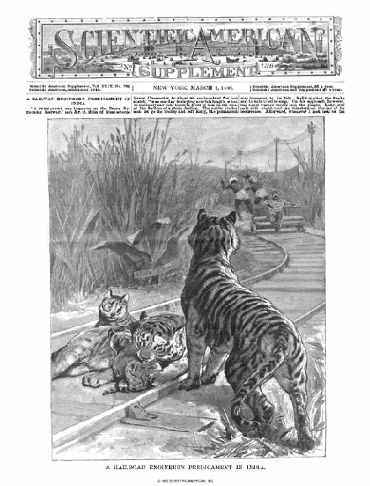 Scientific American Supplements Volume 29, Issue 739supp | Scientific ...