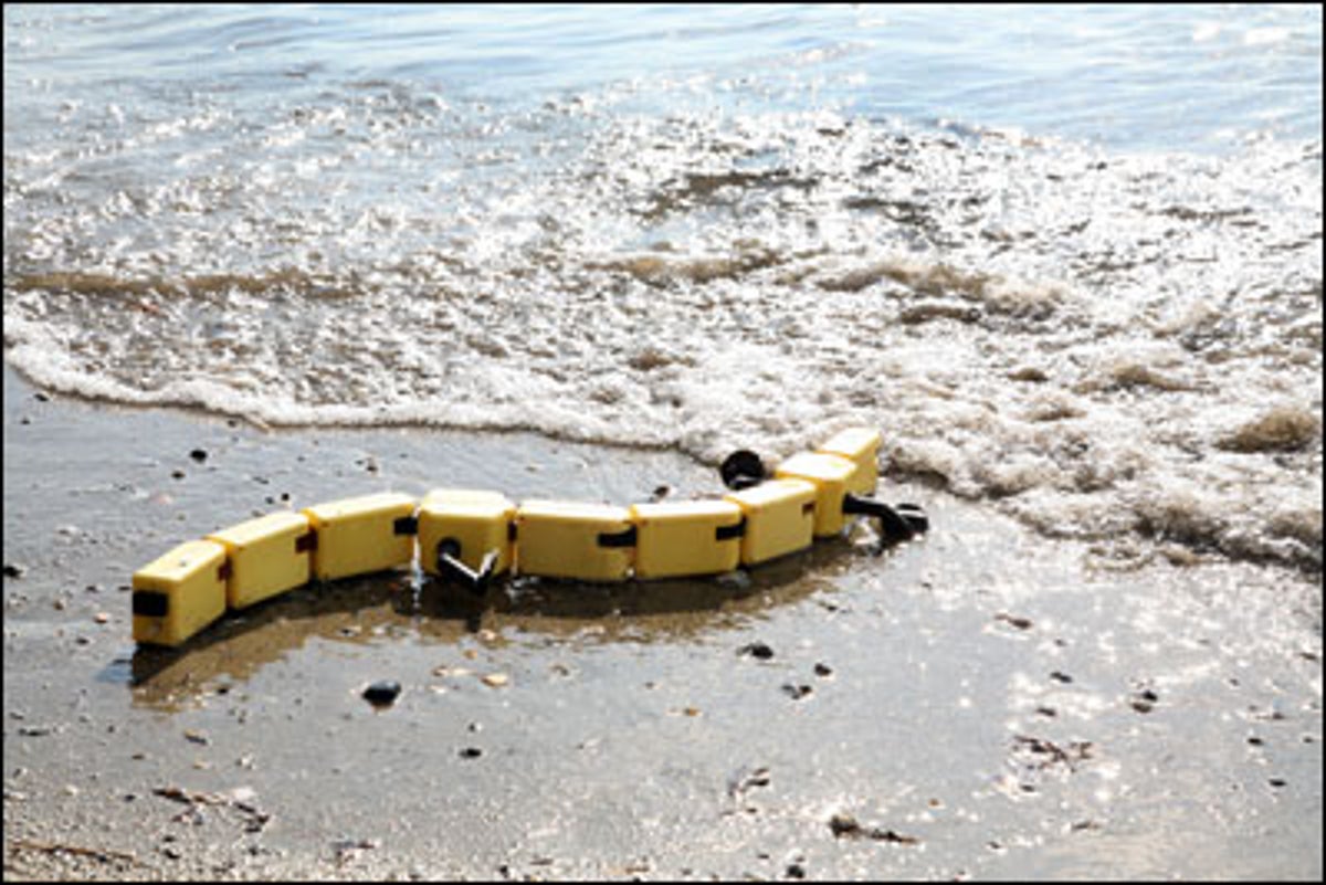 Salamander Robot | Scientific American