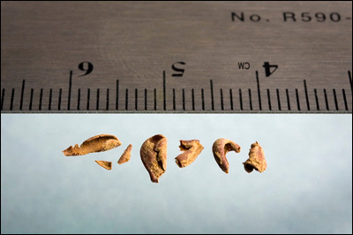 Way Beyond Ripe | Scientific American