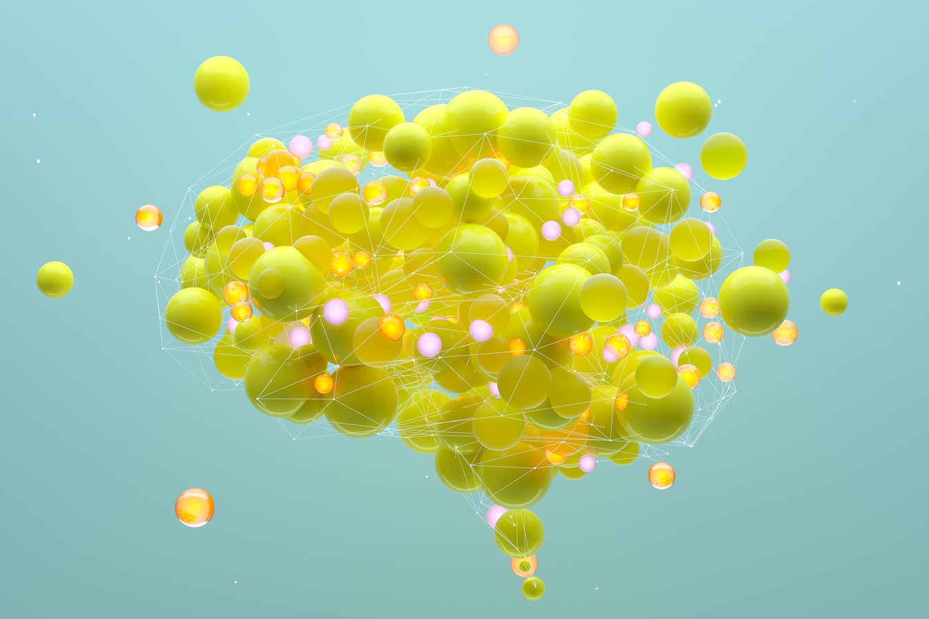 How the Brain Responds to Beauty | Scientific American