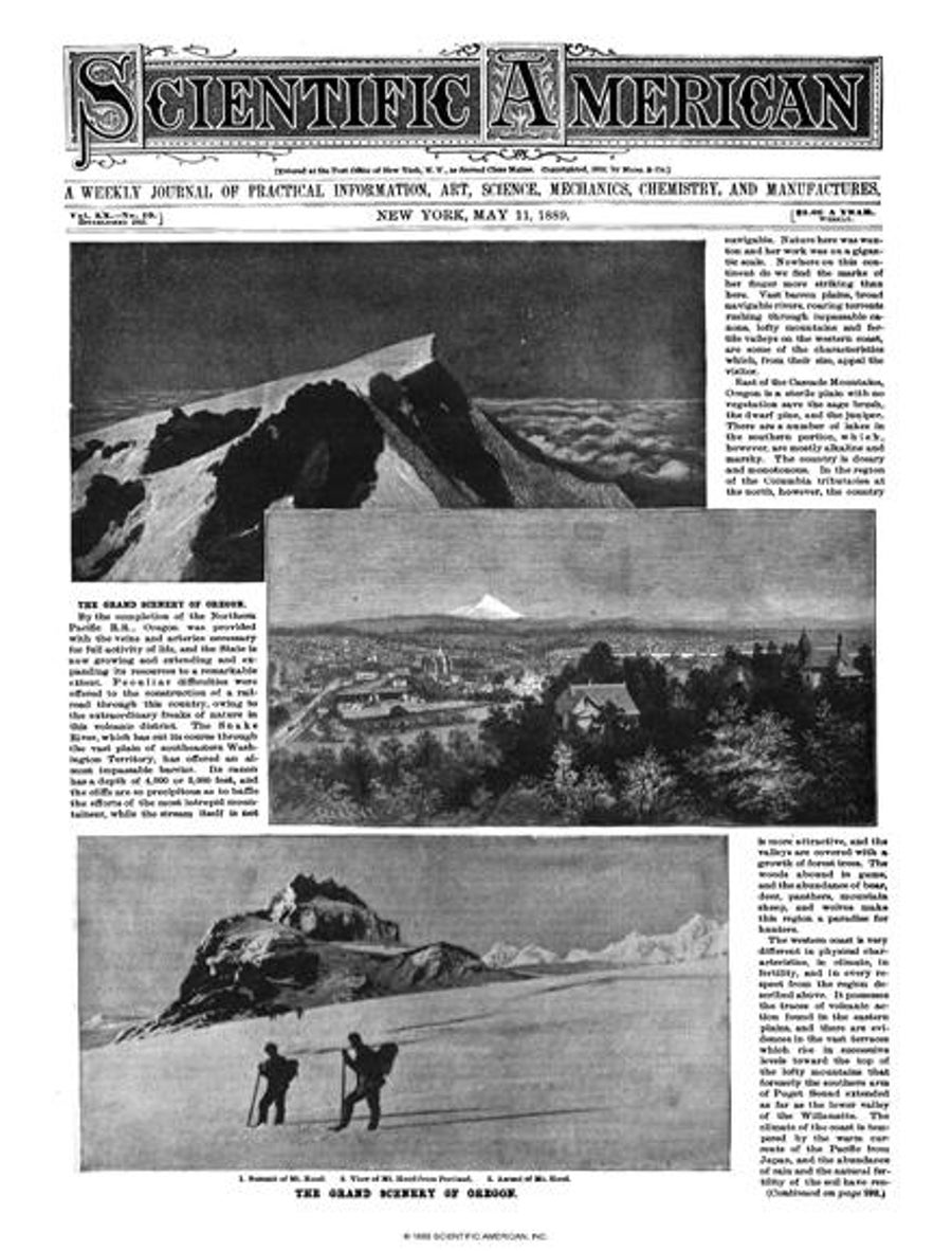 Scientific American Volume 60 Issue 19 Scientific American