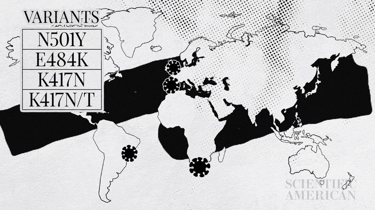 A Visual Guide to the New Coronavirus Variants | Scientific American