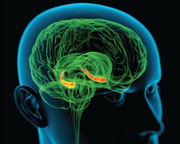 Memory System May Overcome Diverse Disorders - Scientific American