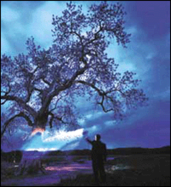 Frozen Light | Scientific American