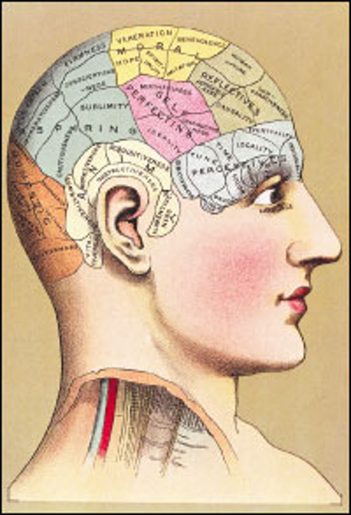 Math without Words | Scientific American