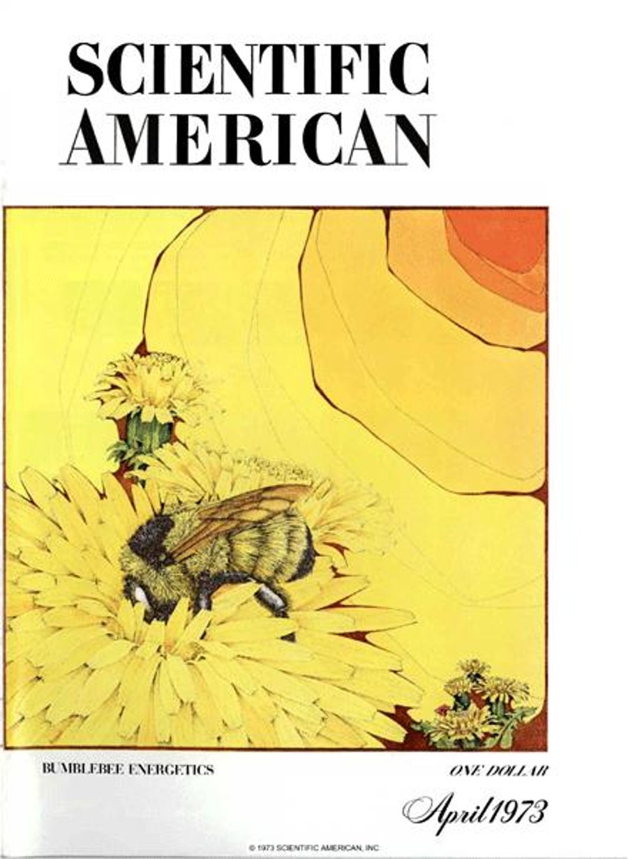 Scientific American Volume 228 Issue 4 Scientific American 