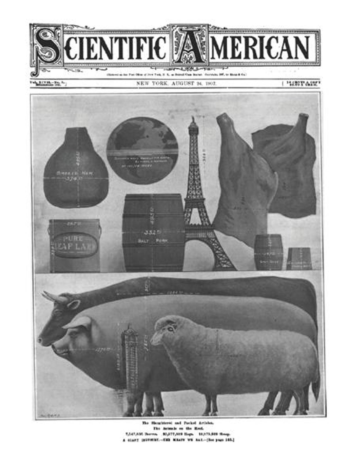 Scientific American Volume 97, Issue 8 | Scientific American