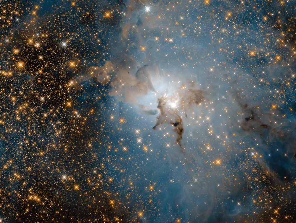 The True Point of Searching for Alien Life; the Misuse of Genetics and ...