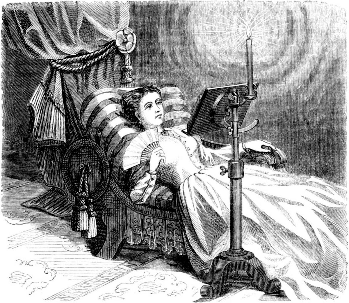 Moral Animal | Scientific American