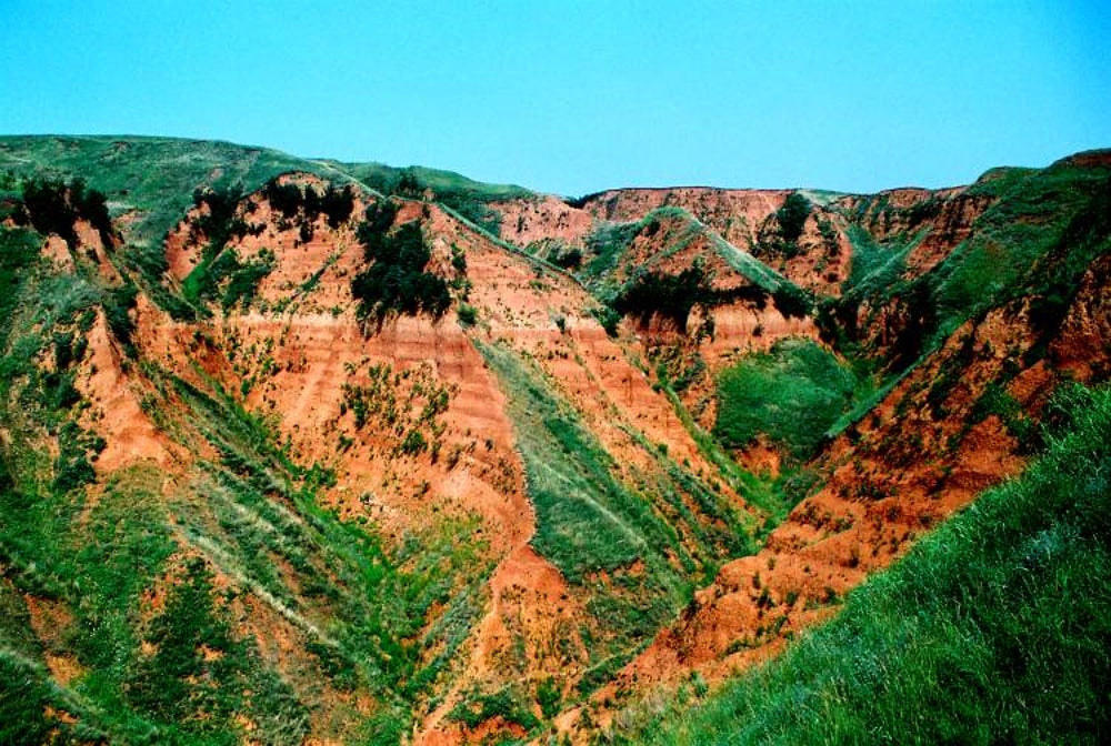 Tools from China are Oldest Hint of Human Lineage Outside Africa ...