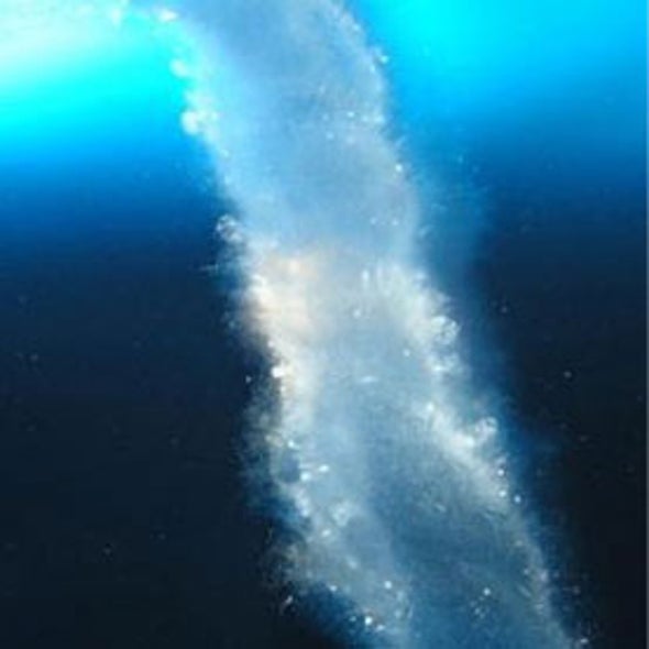 How Eerie Sea Ice 'Brinicles' Form - Scientific American