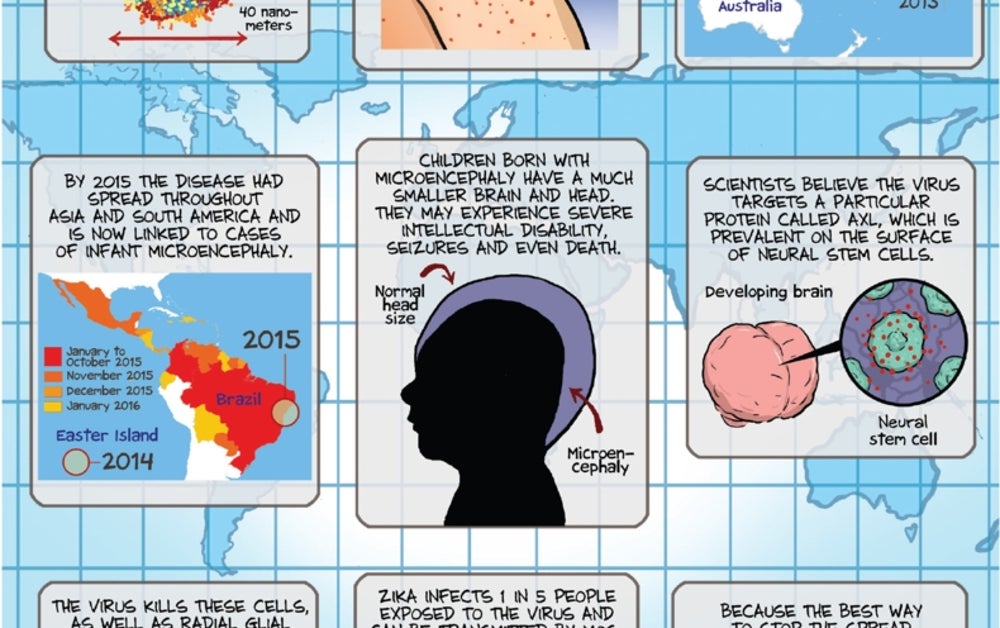 MIND in Pictures: The Zika Virus | Scientific American