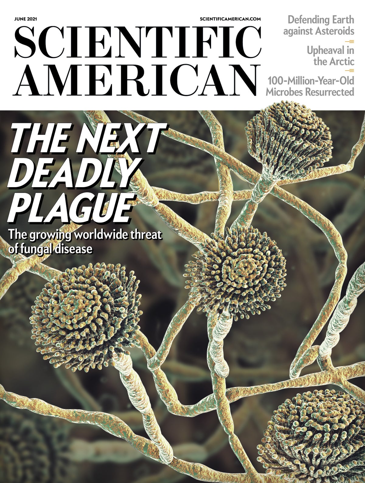 Scientific American Volume 324 Issue 6 Scientific American