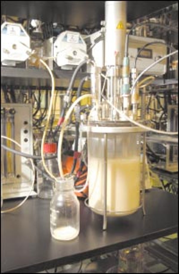 Supercharging Protein Manufacture | Scientific American
