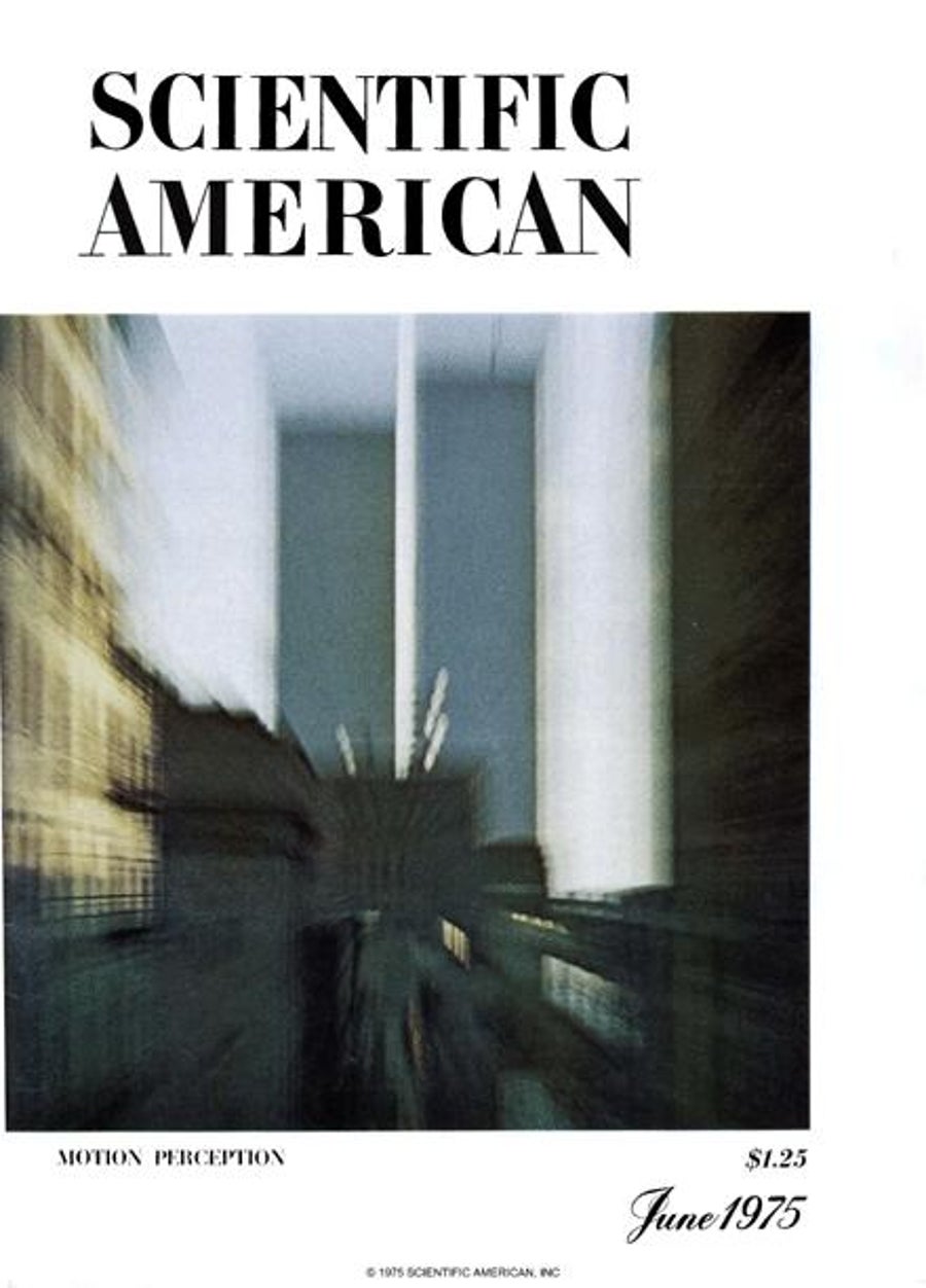 Visual Motion Perception | Scientific American
