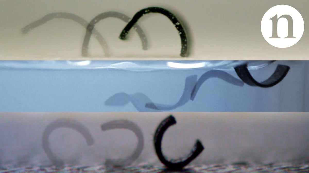 A Mini, Magnetic, All-Terrain Robot | Scientific American