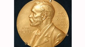 Stories by Clara Moskowitz - Scientific American