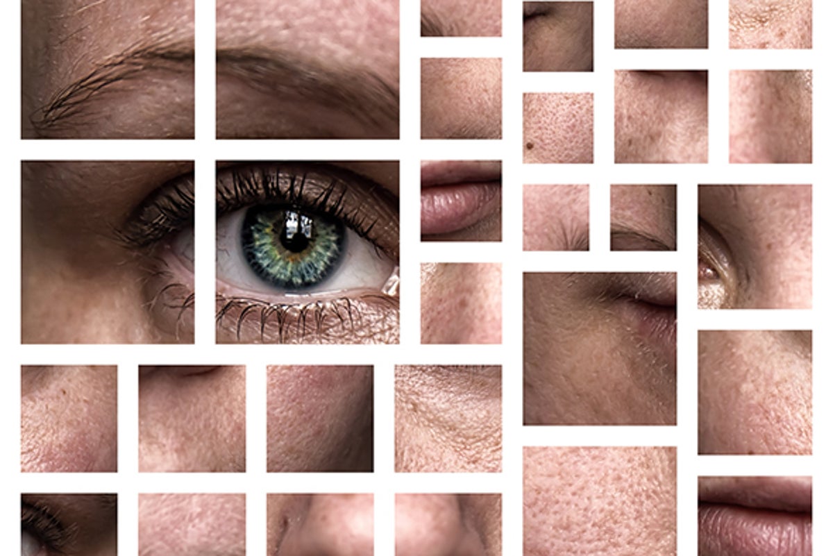 How We Save Face--Researchers Crack the Brain's Facial-Recognition Code ...
