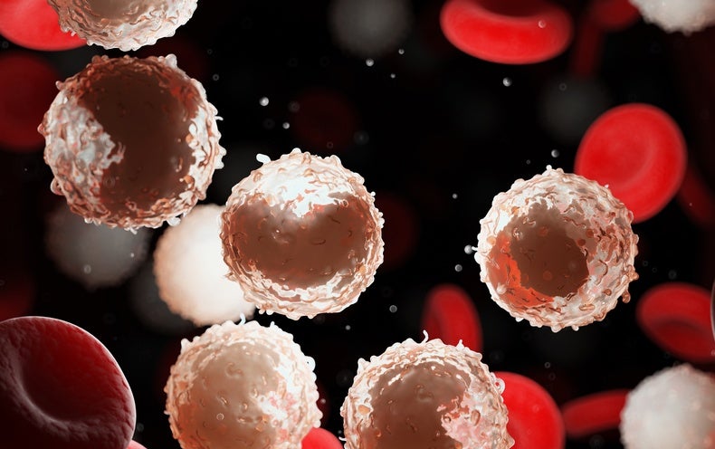 Beyond One-Size-Fits-All Leukemia Treatment - Scientific American