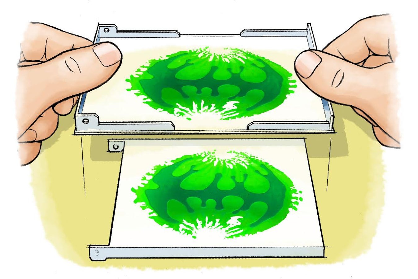 Mesmerizing Fractals | Scientific American