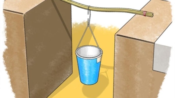 Strength in Numbers: Spaghetti Beams - Scientific American