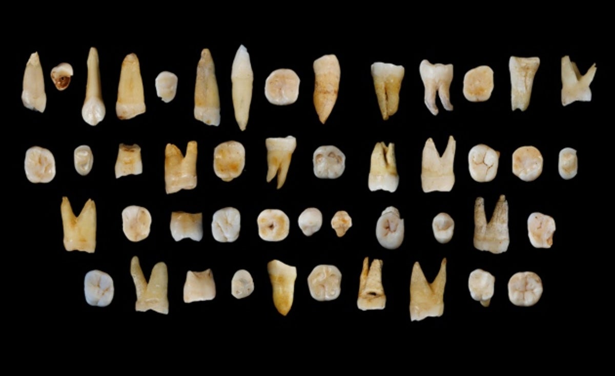 Teeth from China Reveal an Early Human Trek out of Africa | Scientific ...