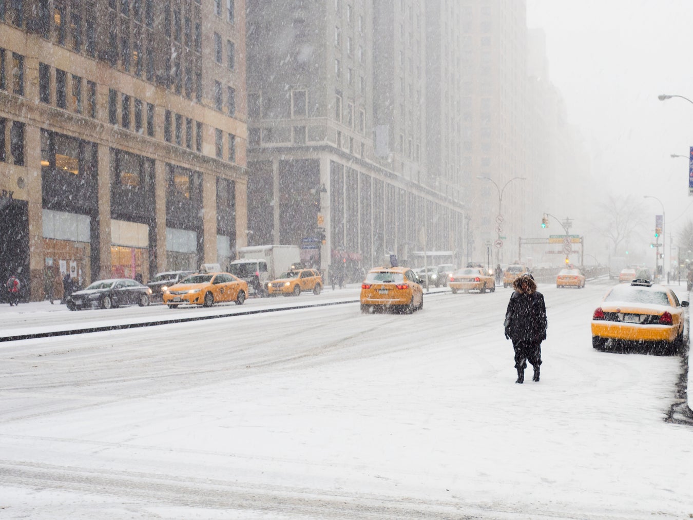 Humans Did Not Cause the U.S. Cold Snap | Scientific American