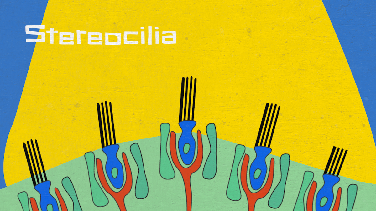 What Is Vertigo? | Scientific American