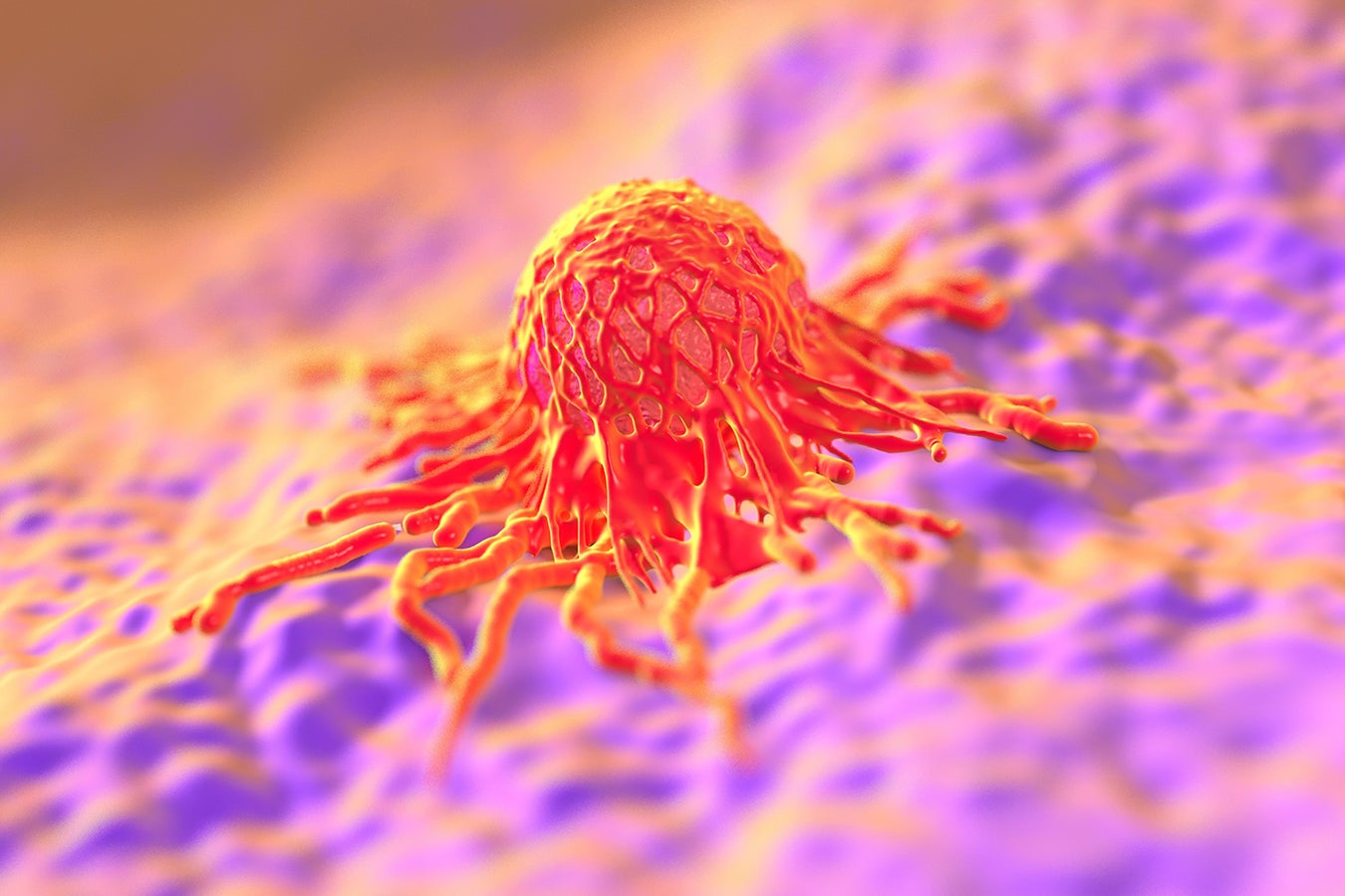 Global Initiative Seeks 1,000 New Cancer Models | Scientific American