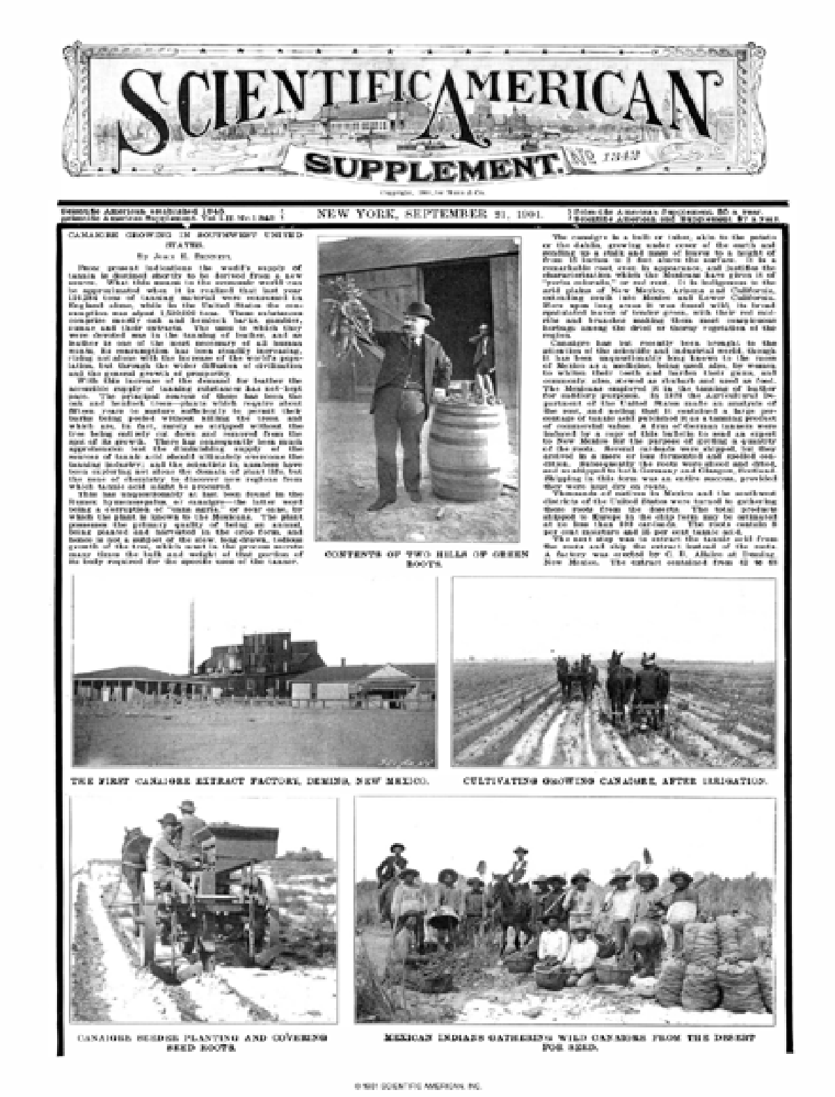 Scientific American Supplements Volume 52, Issue 1342supp | Scientific ...