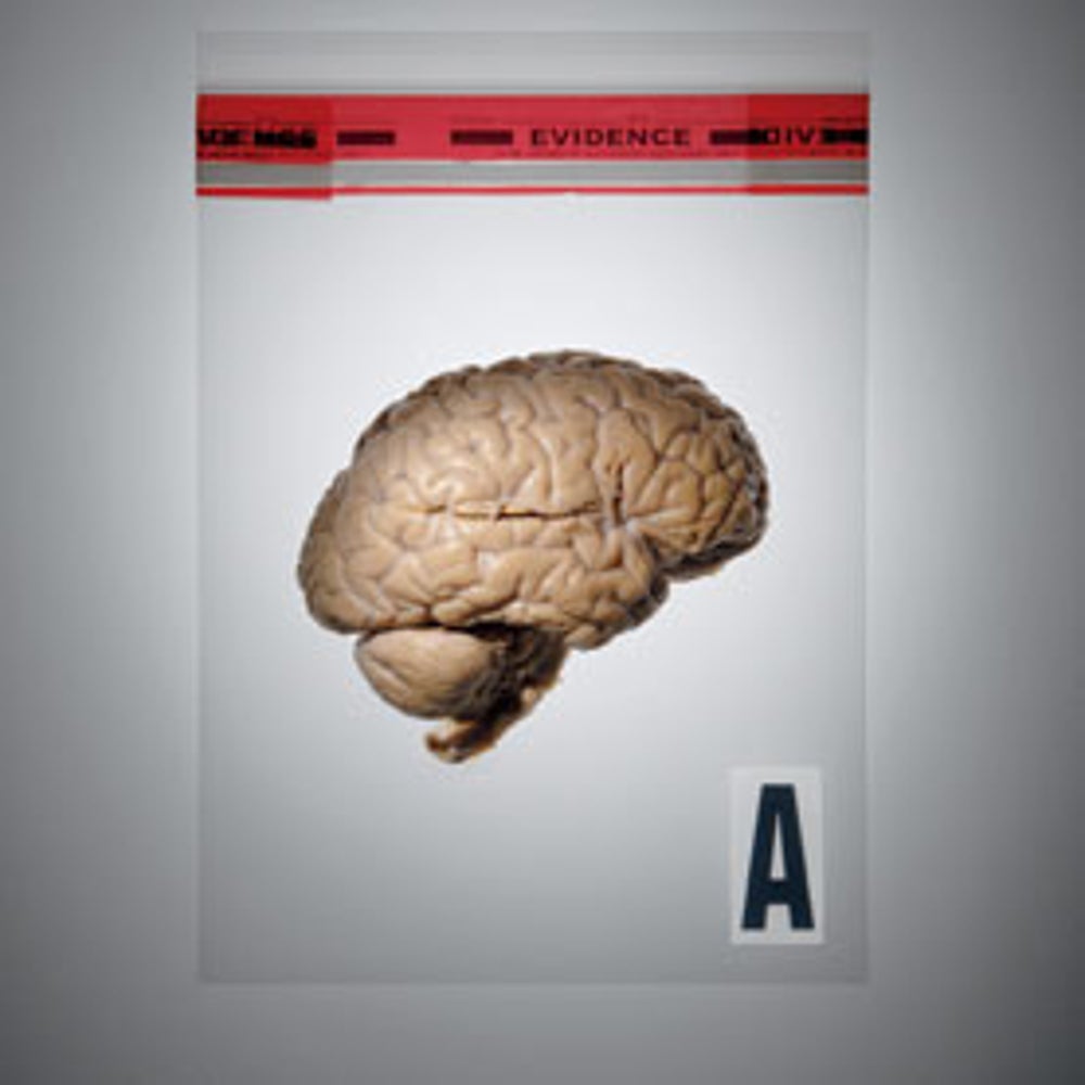 Neuroscience in the Courtroom | Scientific American