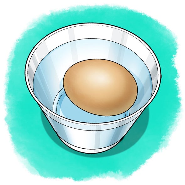 The Big Eggshell Breakdown - Scientific American