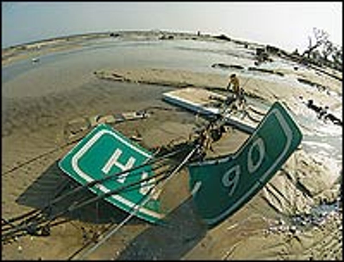 Cannibal Run | Scientific American