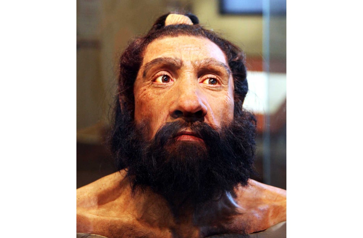 Fire! Neandertal Chemistry | Scientific American